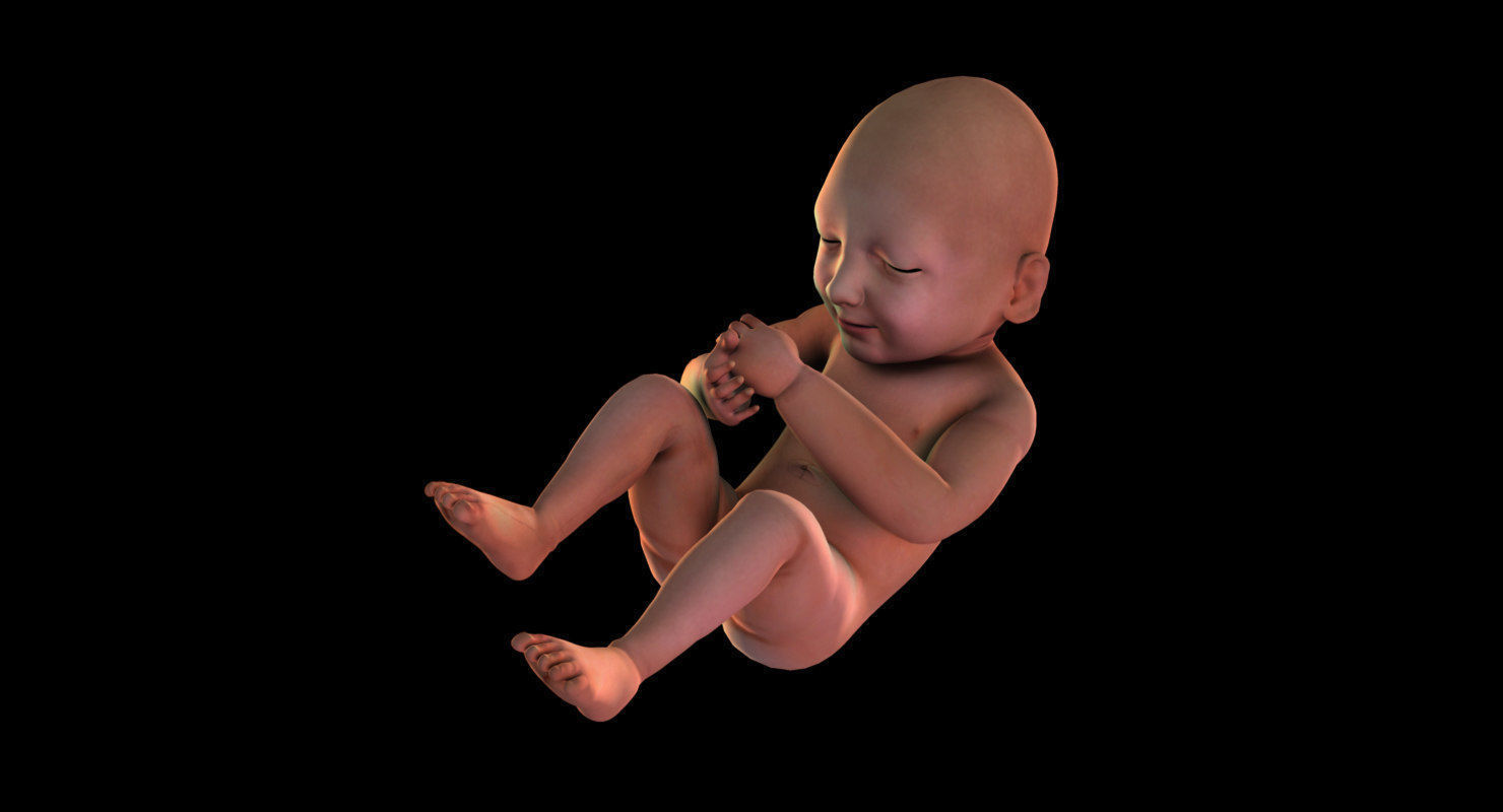 born baby 3d model 3D model | CGTrader