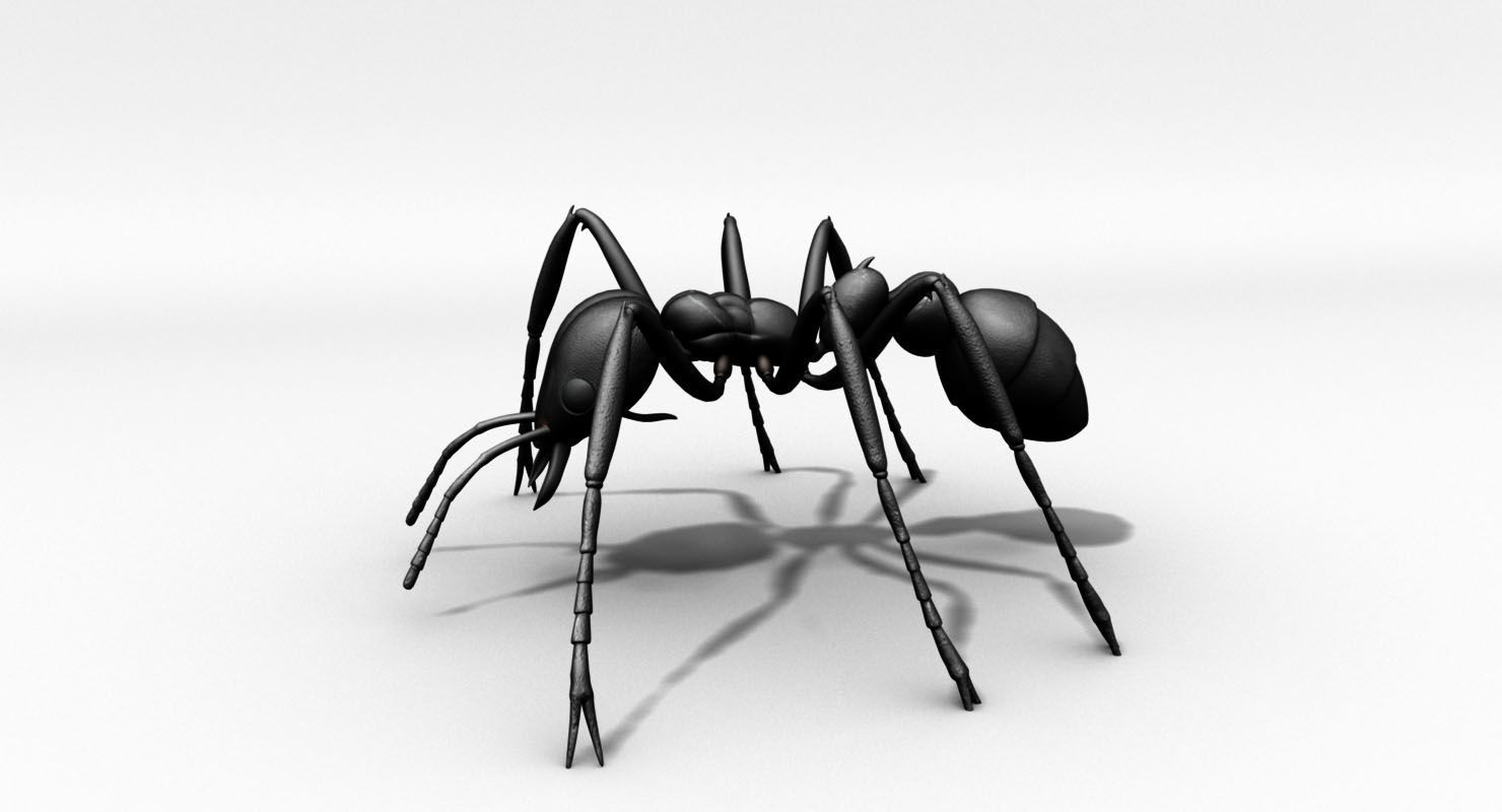 ant 3d rig model 3D model | CGTrader