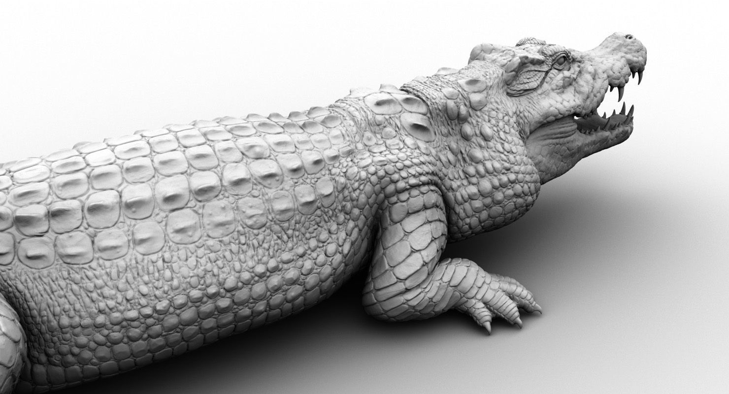 Crocodile 3d model 3D model | CGTrader