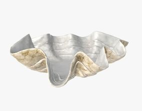 Clam shell 3D Models | CGTrader
