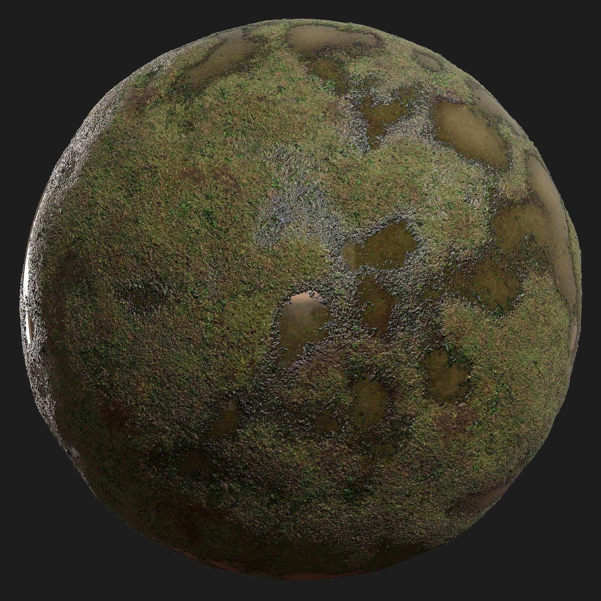 Seamless 4K Grass Material free Texture | CGTrader