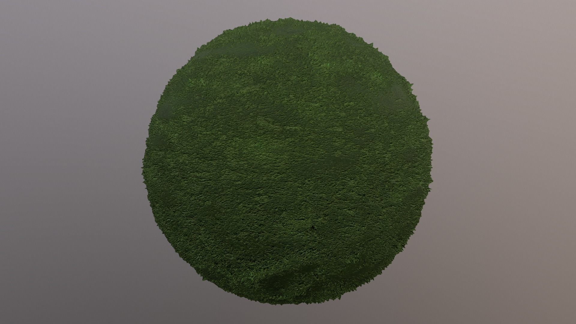 Grass pbr moss Texture | CGTrader