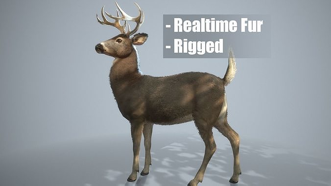 3D model White tailed Buck Rig for Realtime Games and Cinematics VR ...