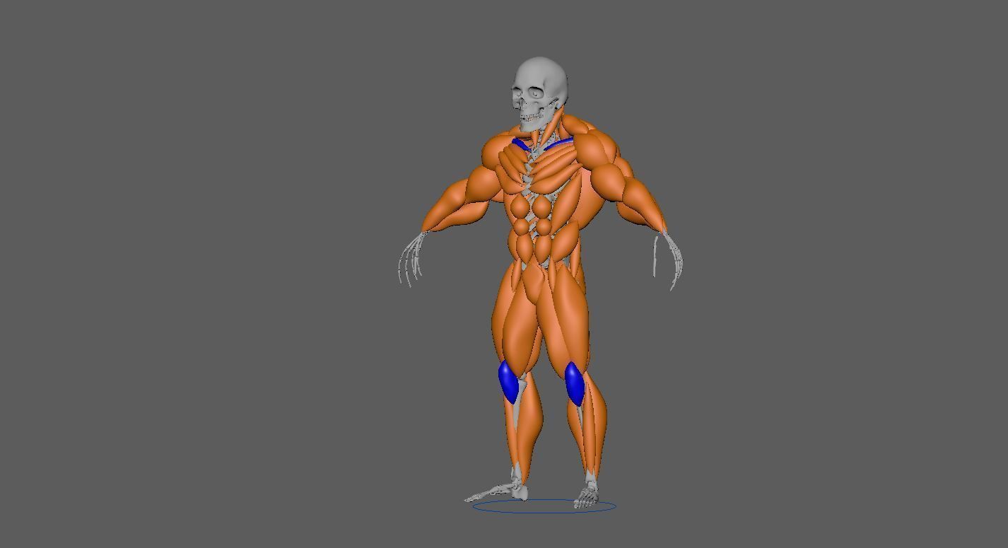 3D model Ultimate Venom 3D Production Model Rigged W Maya Muscle System ...