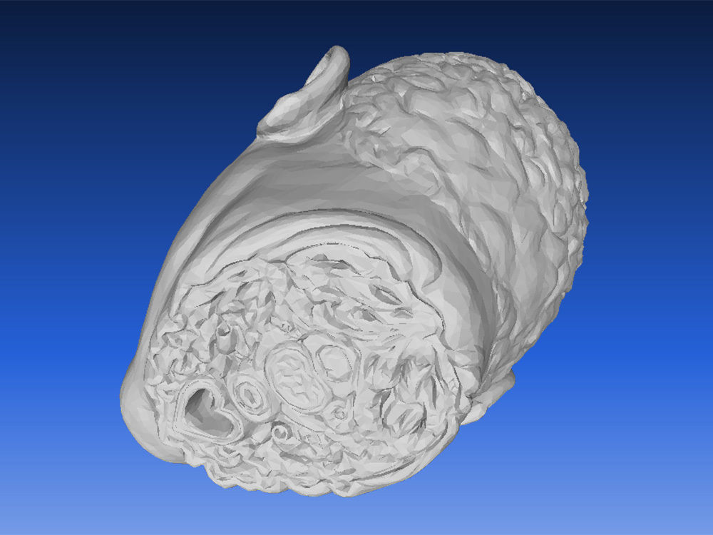 Bashar al-Assad laughing shrunken head keychain keyfob free 3D model 3D ...