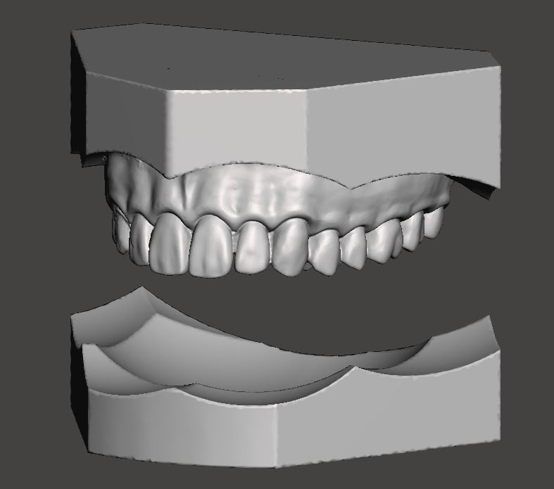 upper and lower ortho model bases 3D model 3D printable | CGTrader