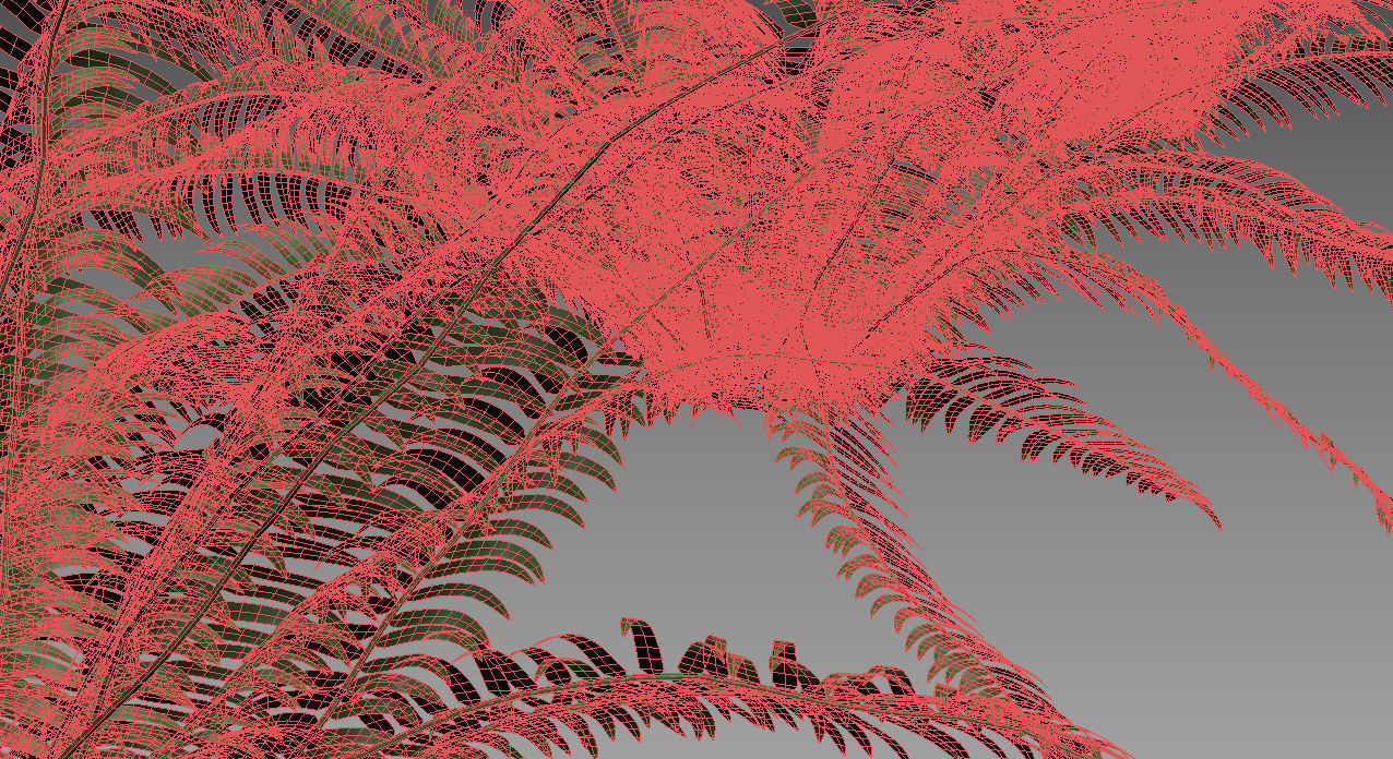 Sword Fern Animation 3D model animated | CGTrader