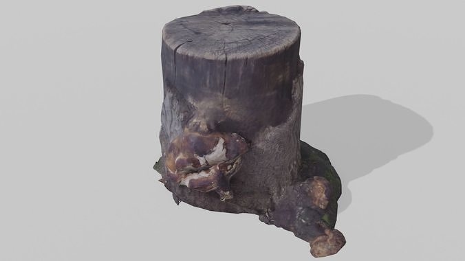 3D model Realistic Stump scanned game-ready VR / AR / low-poly | CGTrader