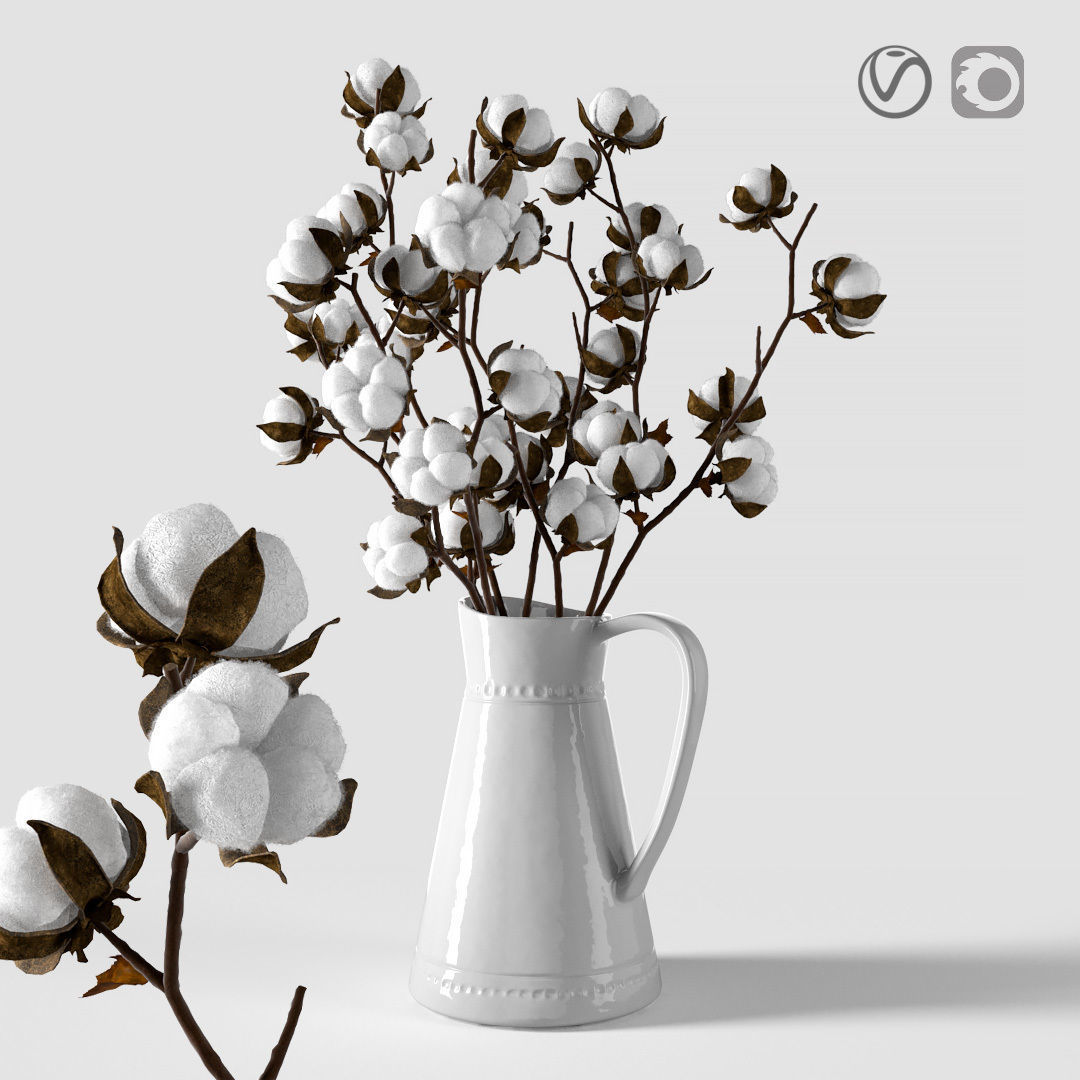 Cotton in a jug 3D model | CGTrader