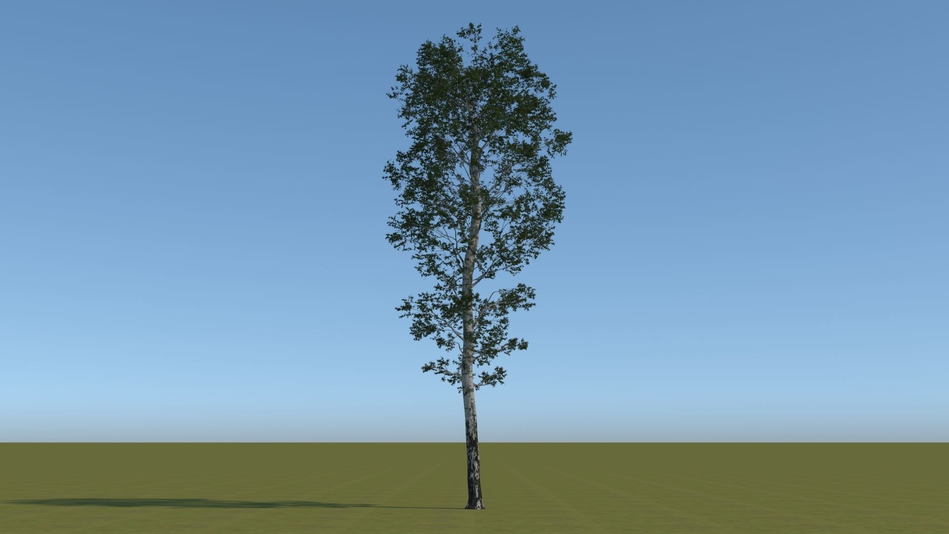 18 Trees free VR / AR / low-poly 3D model | CGTrader