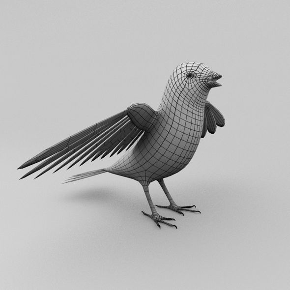Bird base free VR / AR / low-poly 3D model | CGTrader