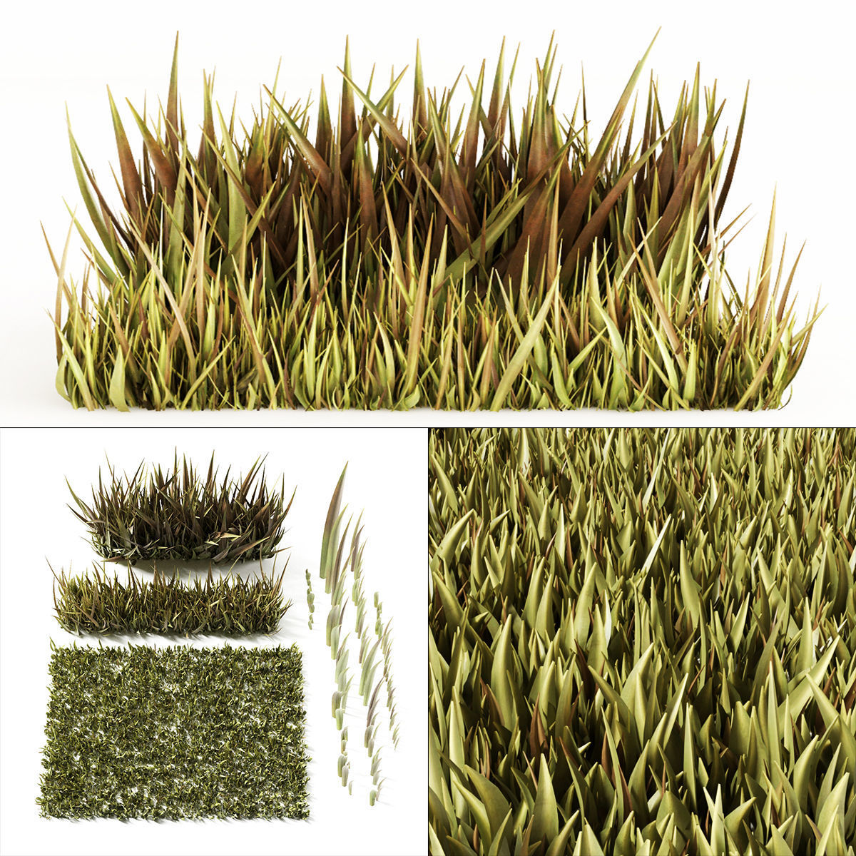 Grass 3D | CGTrader