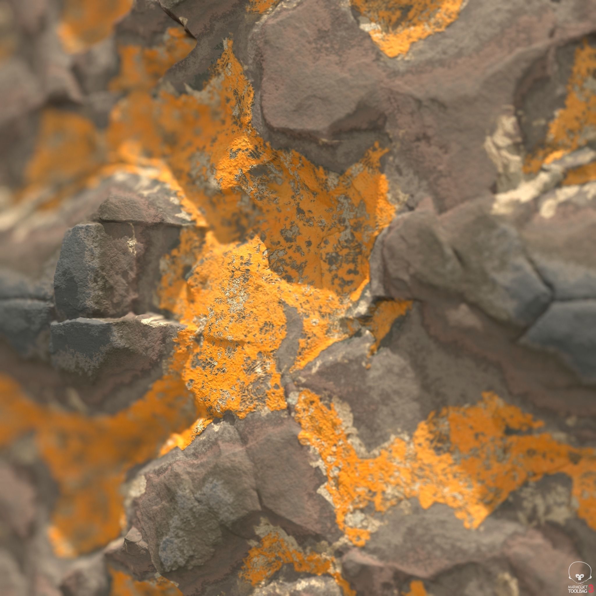 Texture Lichen Covered Rock Material VR / AR / low-poly | CGTrader
