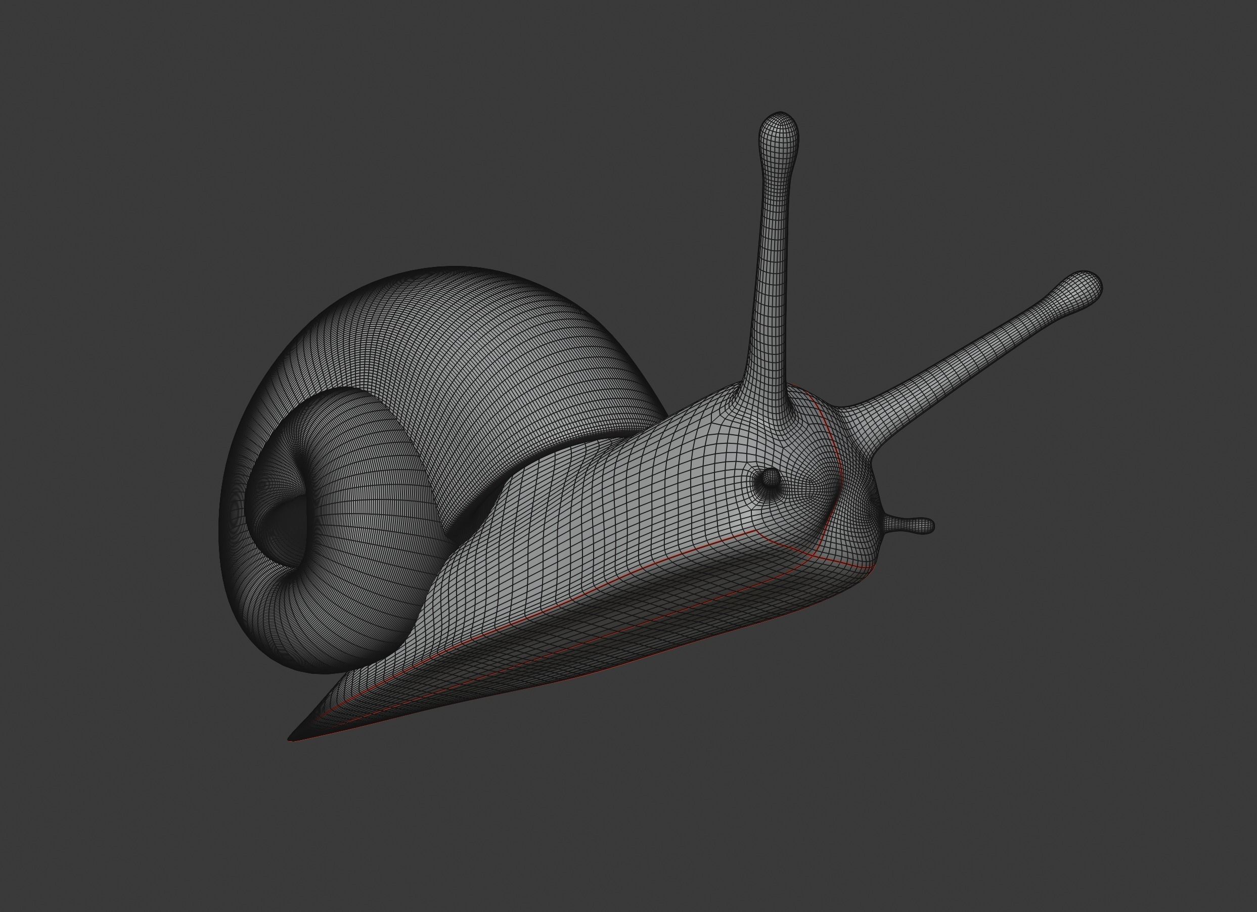Snail 3D model rigged | CGTrader