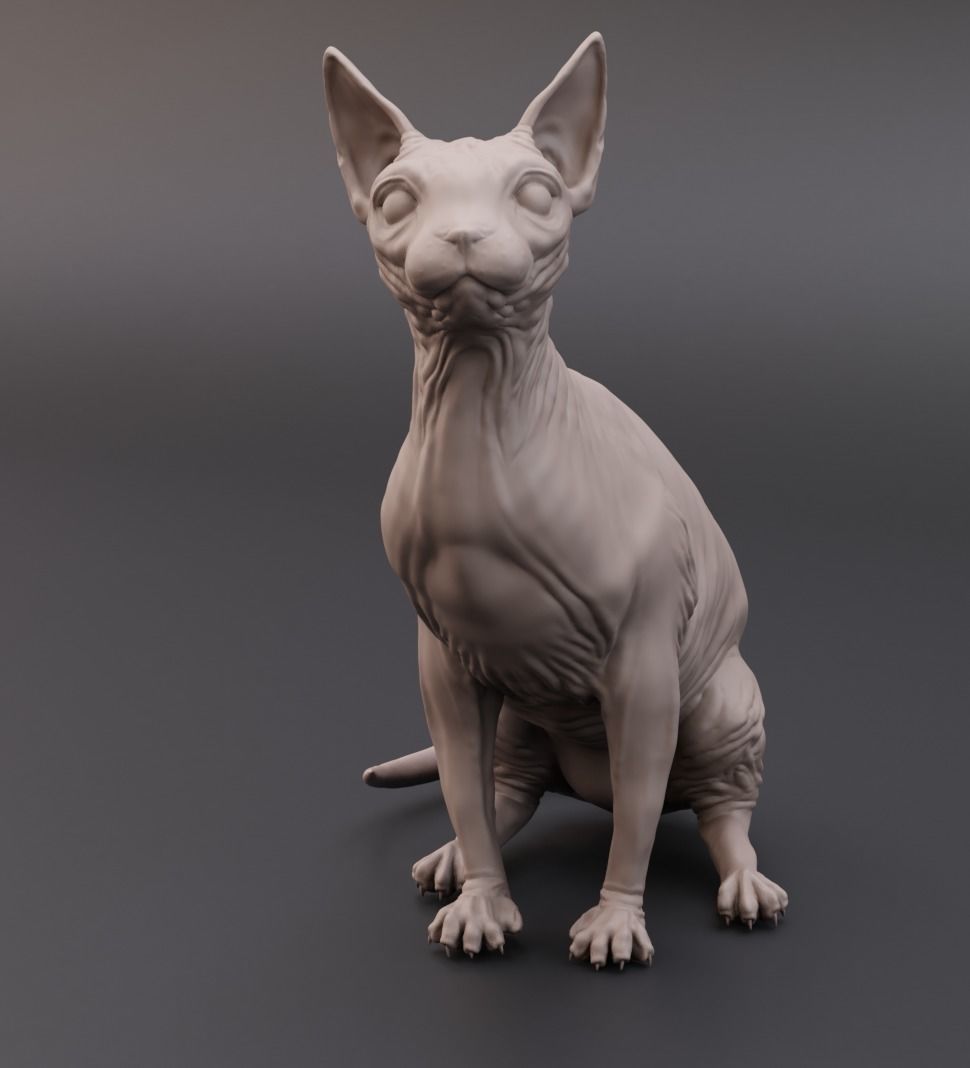 Sphynx cat 3D model 3D printable | CGTrader