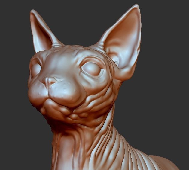 Sphynx cat 3D model 3D printable | CGTrader