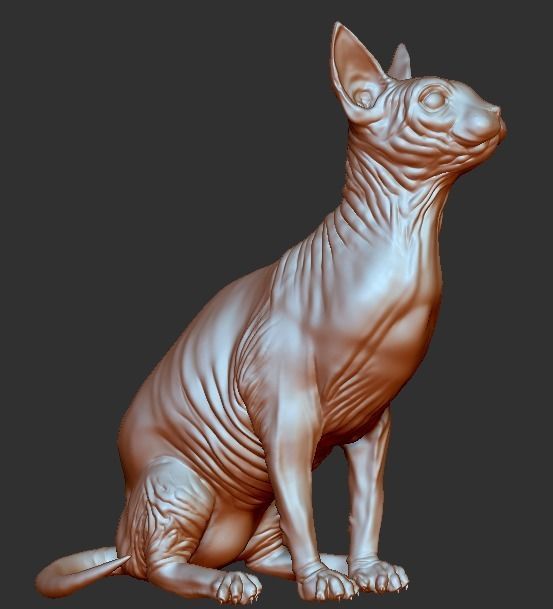 Sphynx cat 3D model 3D printable | CGTrader