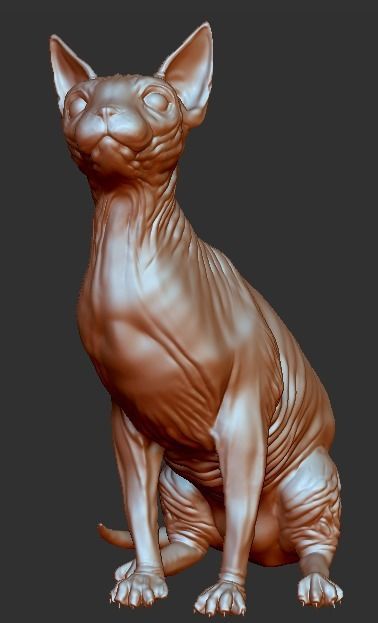 Sphynx cat 3D model 3D printable | CGTrader