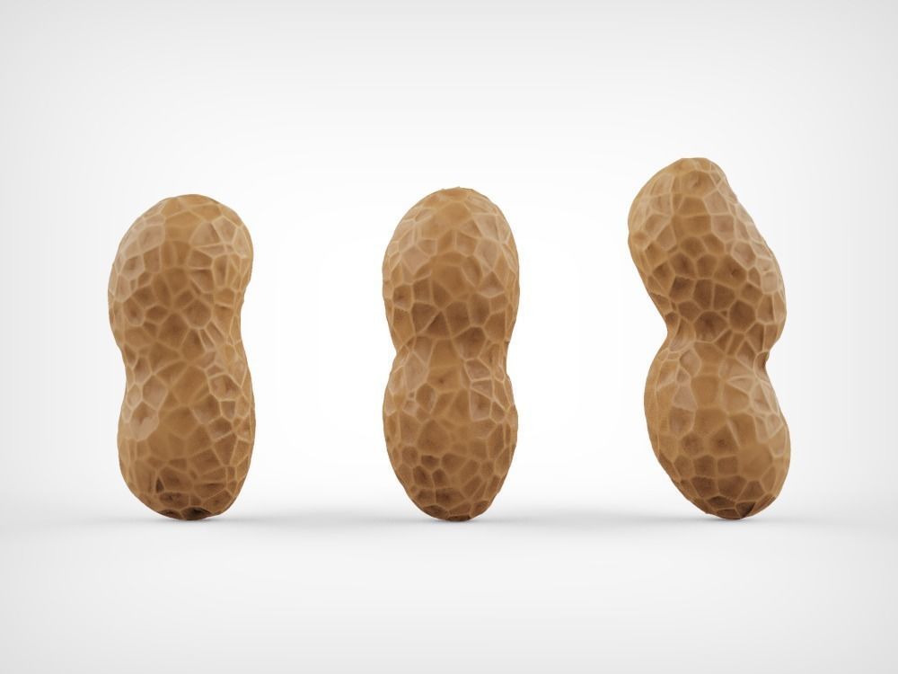 3D model Peanuts VR / AR / low-poly | CGTrader
