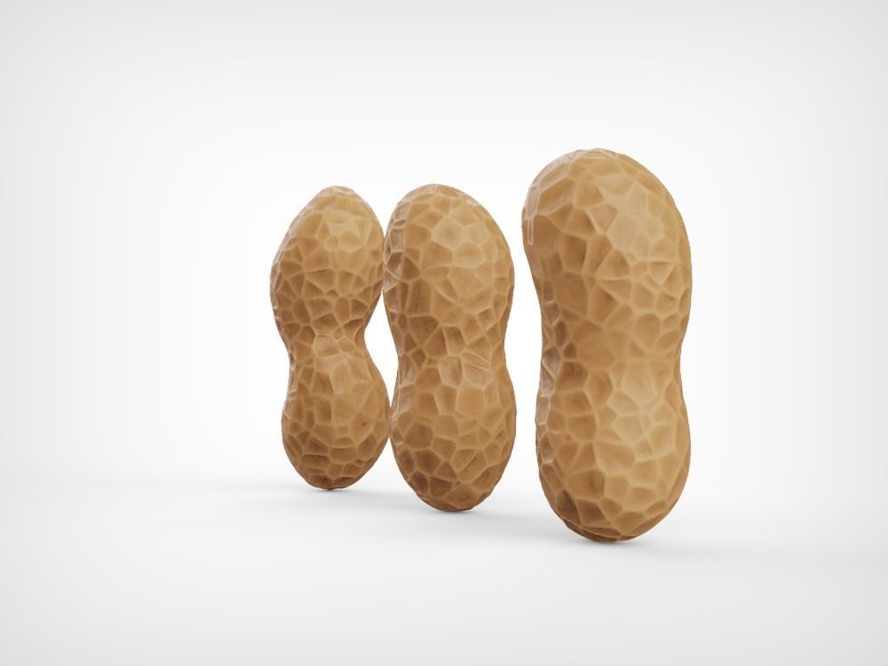 3D model Peanuts VR / AR / low-poly | CGTrader