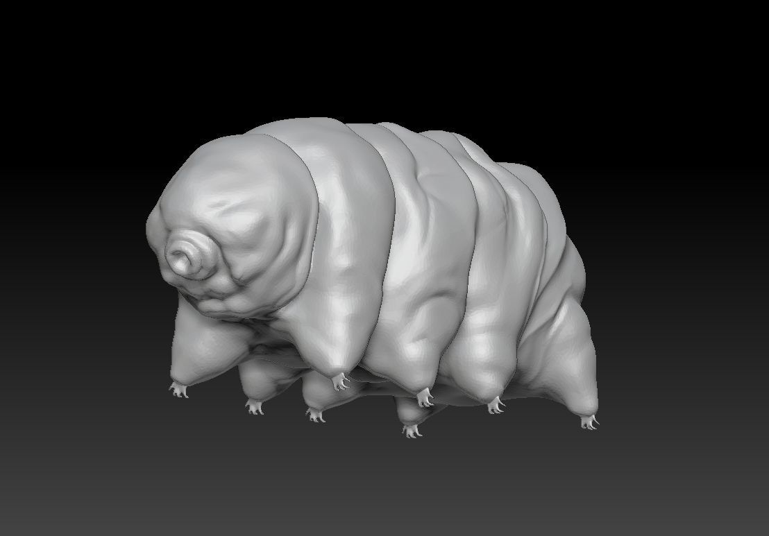 water bear 3D | CGTrader