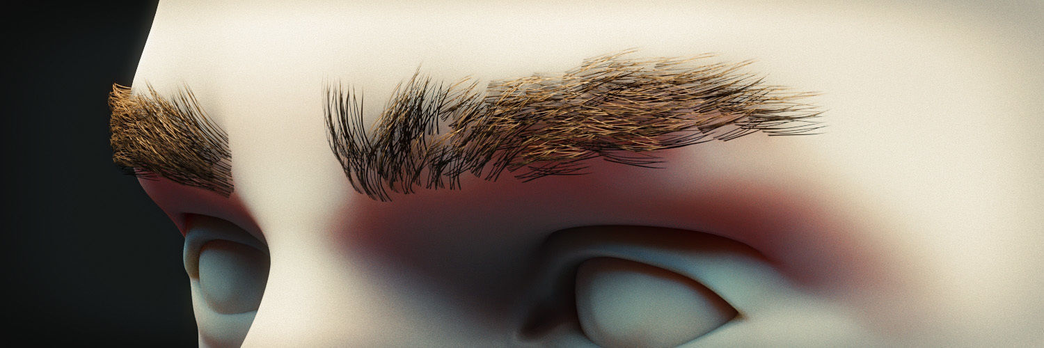 3D model Eyebrows Low Poly 2 VR / AR / low-poly | CGTrader