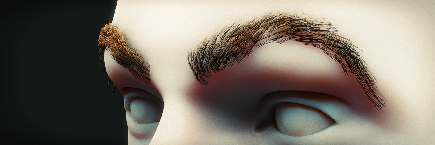 3D model Eyebrows Low Poly 11 VR / AR / low-poly | CGTrader