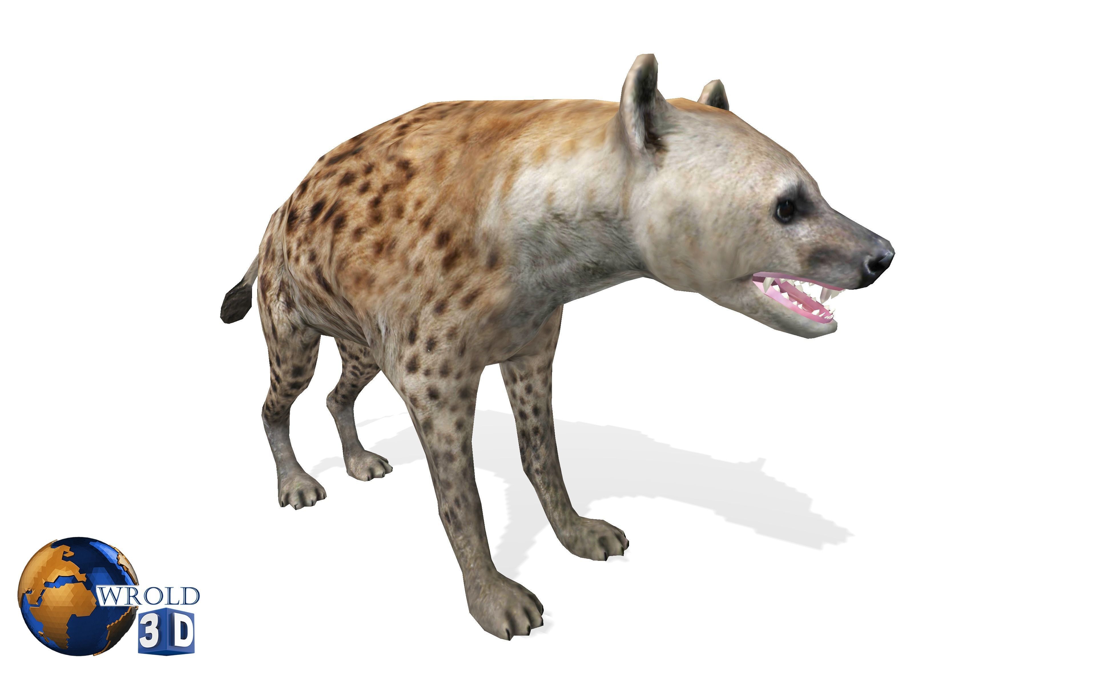 animated Hyena Rigged Animated Lowpoly 3D Model | CGTrader