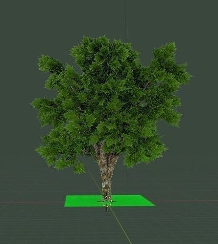 Realistic tree free 3D model animated rigged | CGTrader