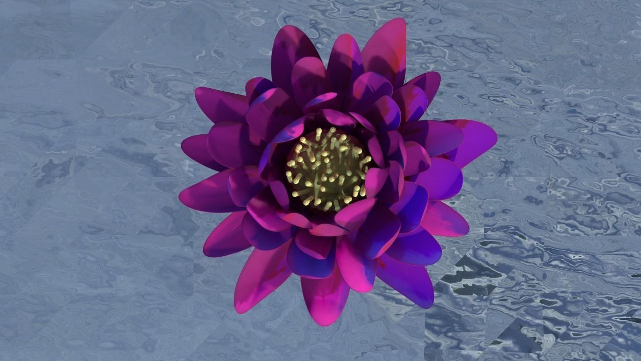 Lotus flower free 3D model | CGTrader