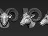 Ram Head 3D model 3D printable | CGTrader