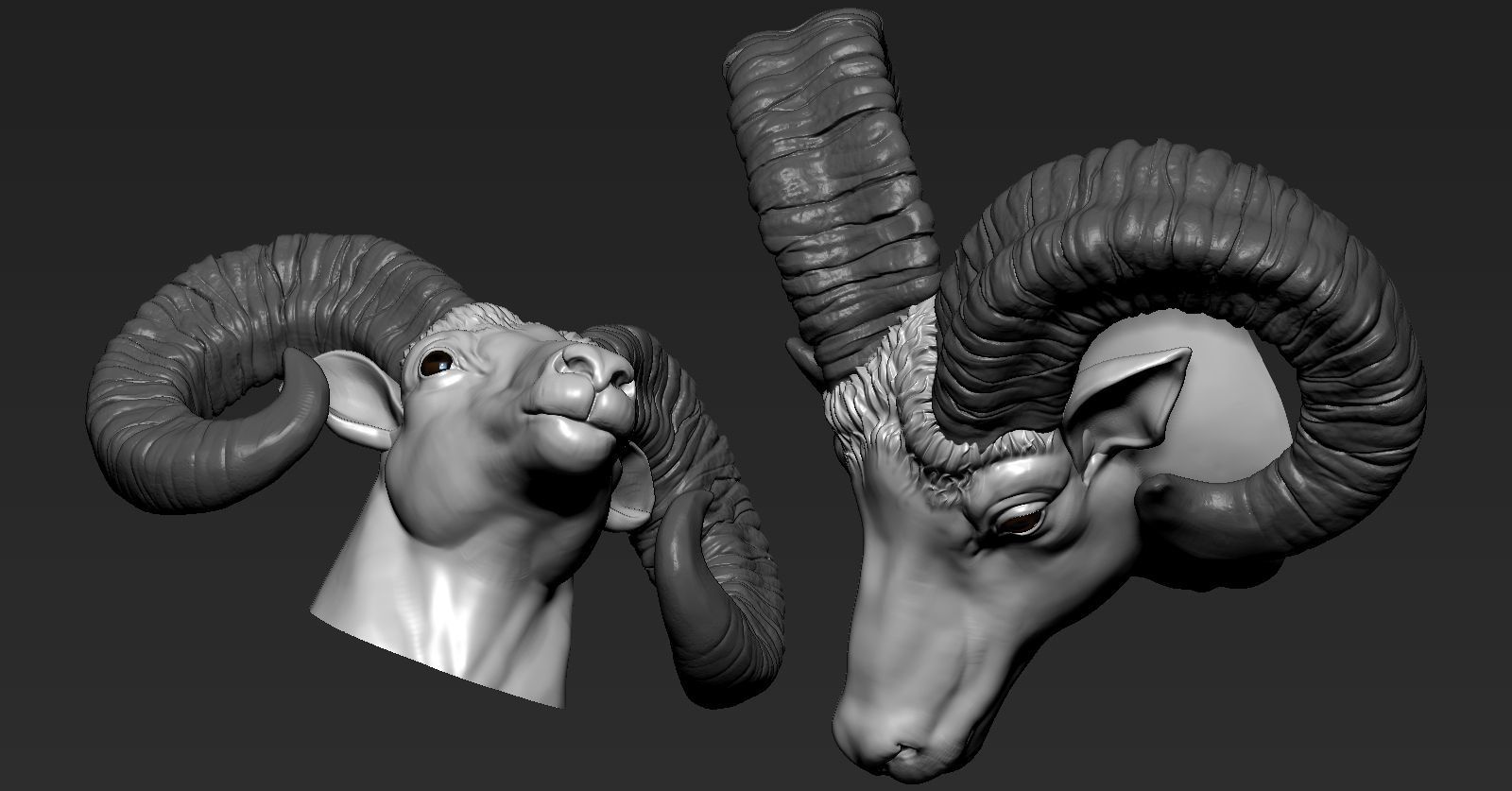 Ram Head 3D model 3D printable | CGTrader