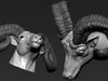 Ram Head 3D model 3D printable | CGTrader