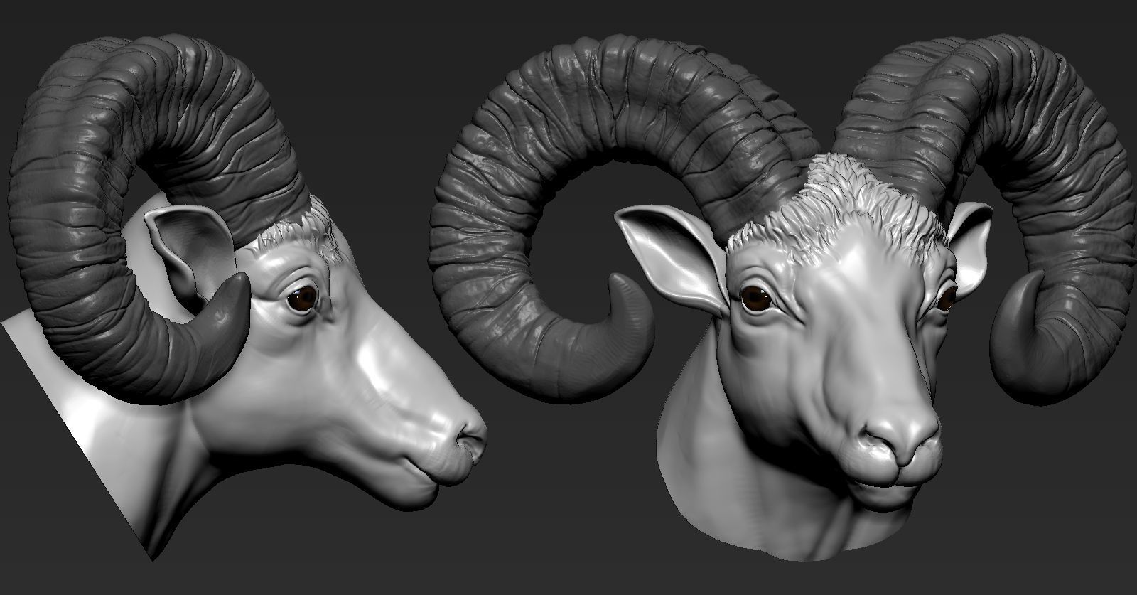 Ram Head 3D model 3D printable | CGTrader