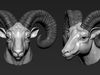 Ram Head 3D model 3D printable | CGTrader