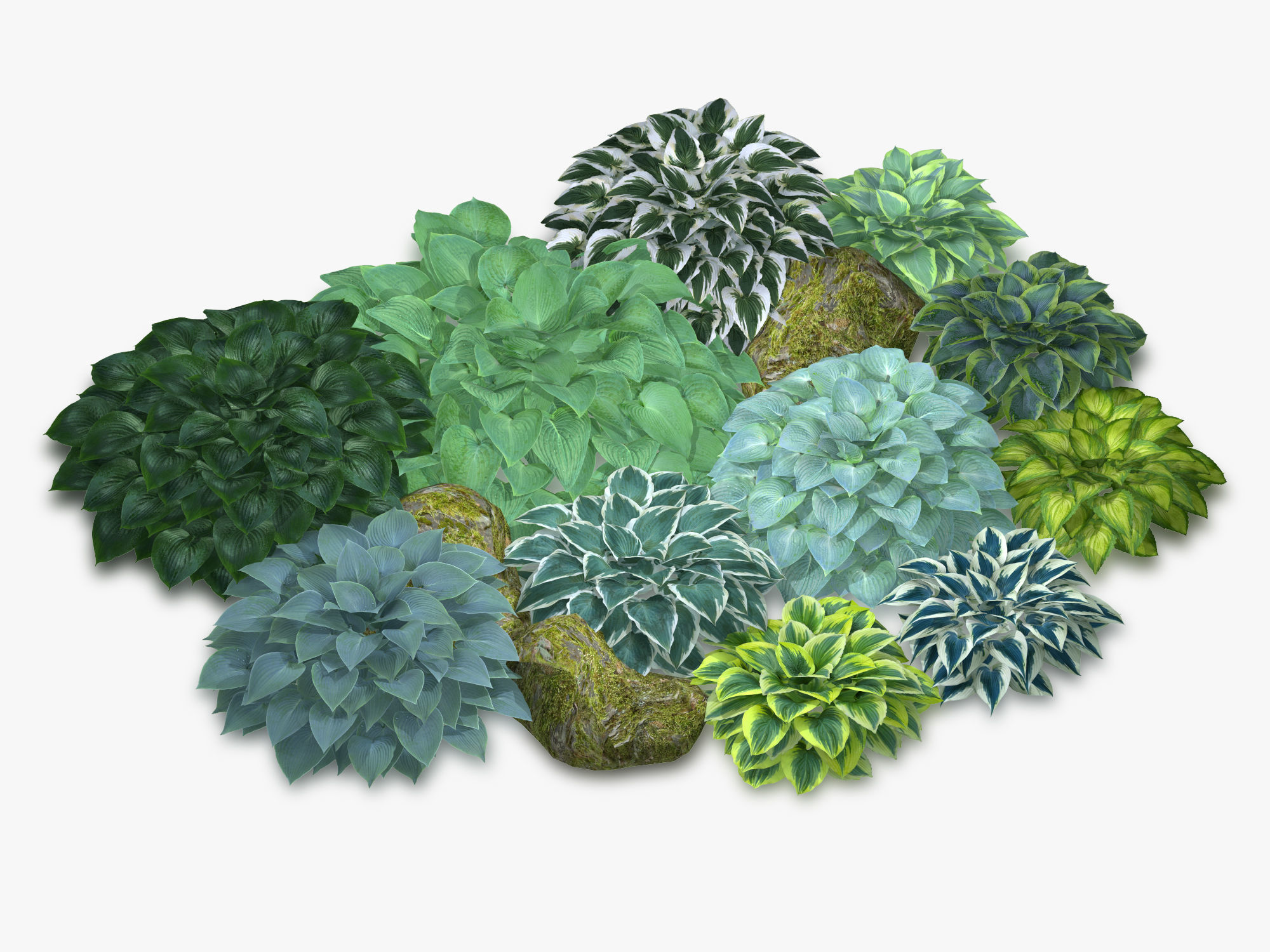 3D model Hosta Stone VR / AR / low-poly | CGTrader