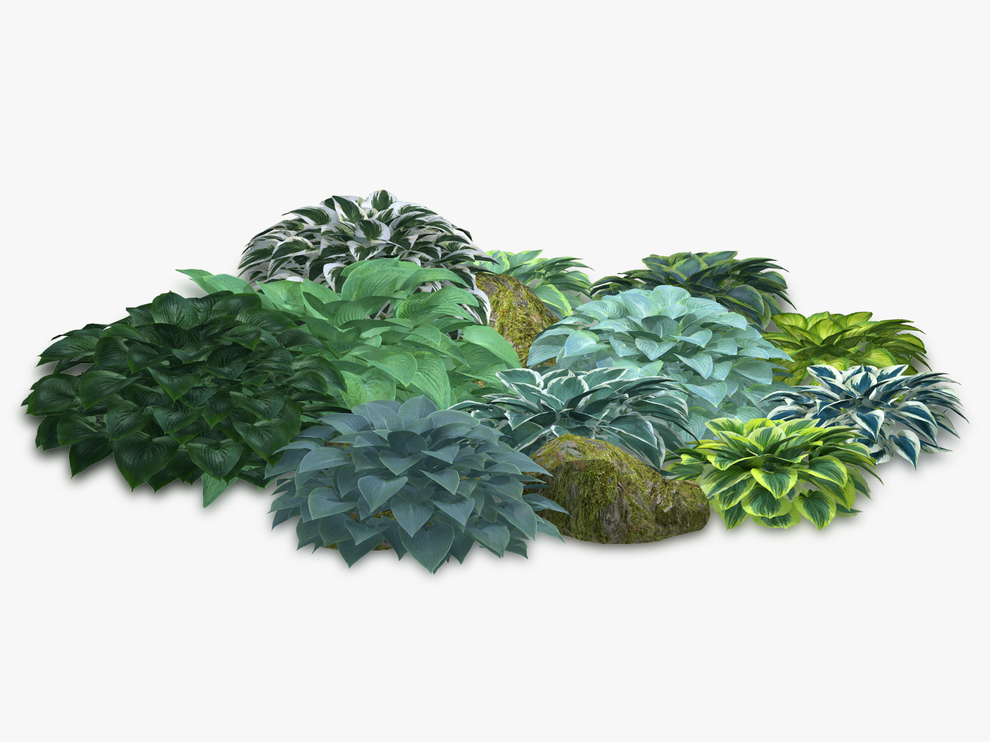 3D model Hosta Stone VR / AR / low-poly | CGTrader