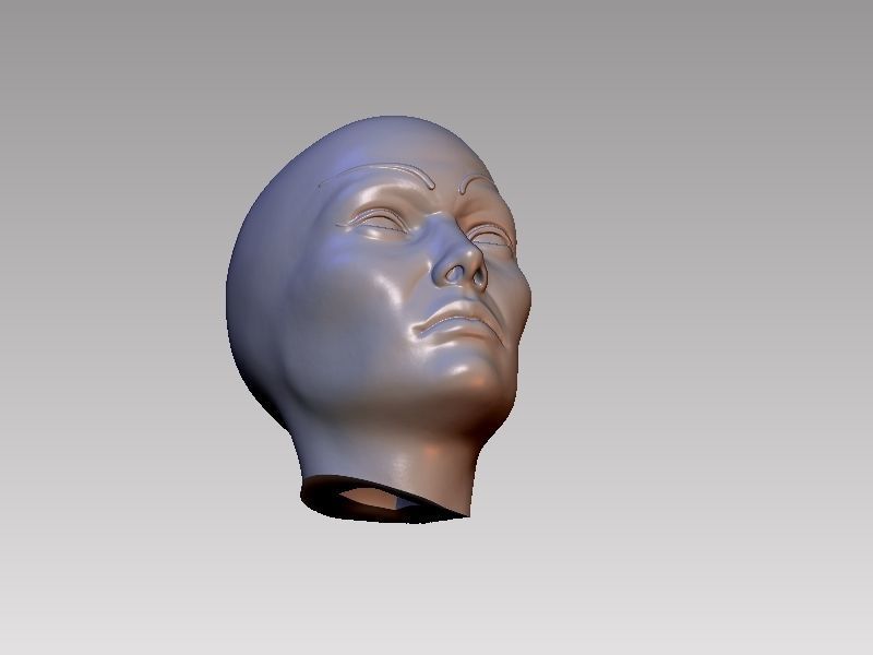 Valkyrie 3D model 3D printable | CGTrader