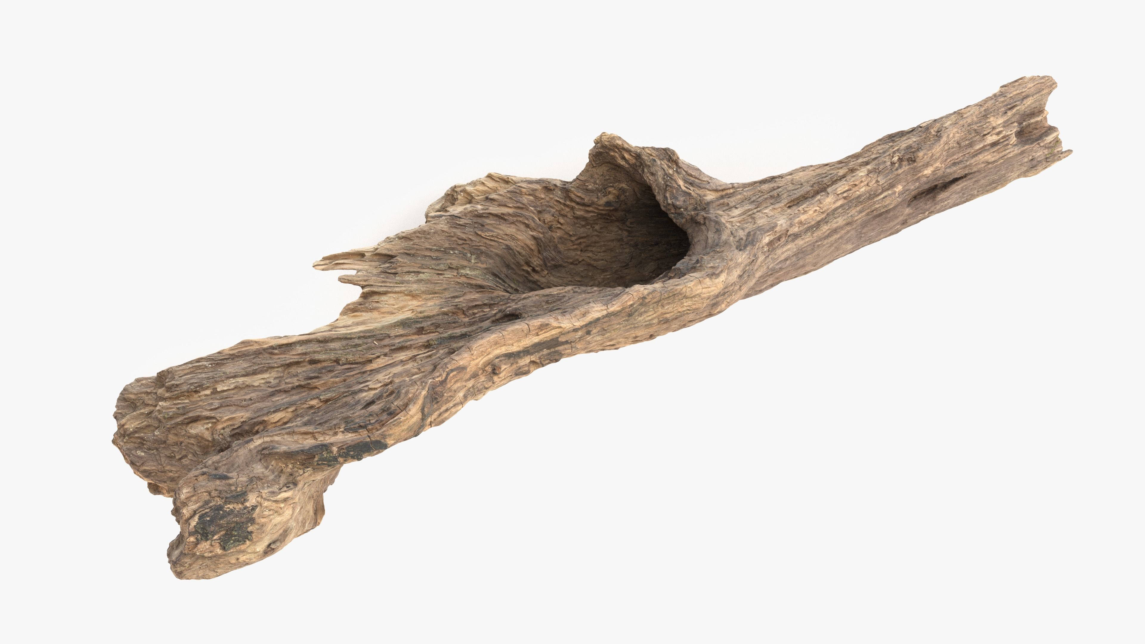 3D model Snag Root Hideout VR / AR / low-poly | CGTrader