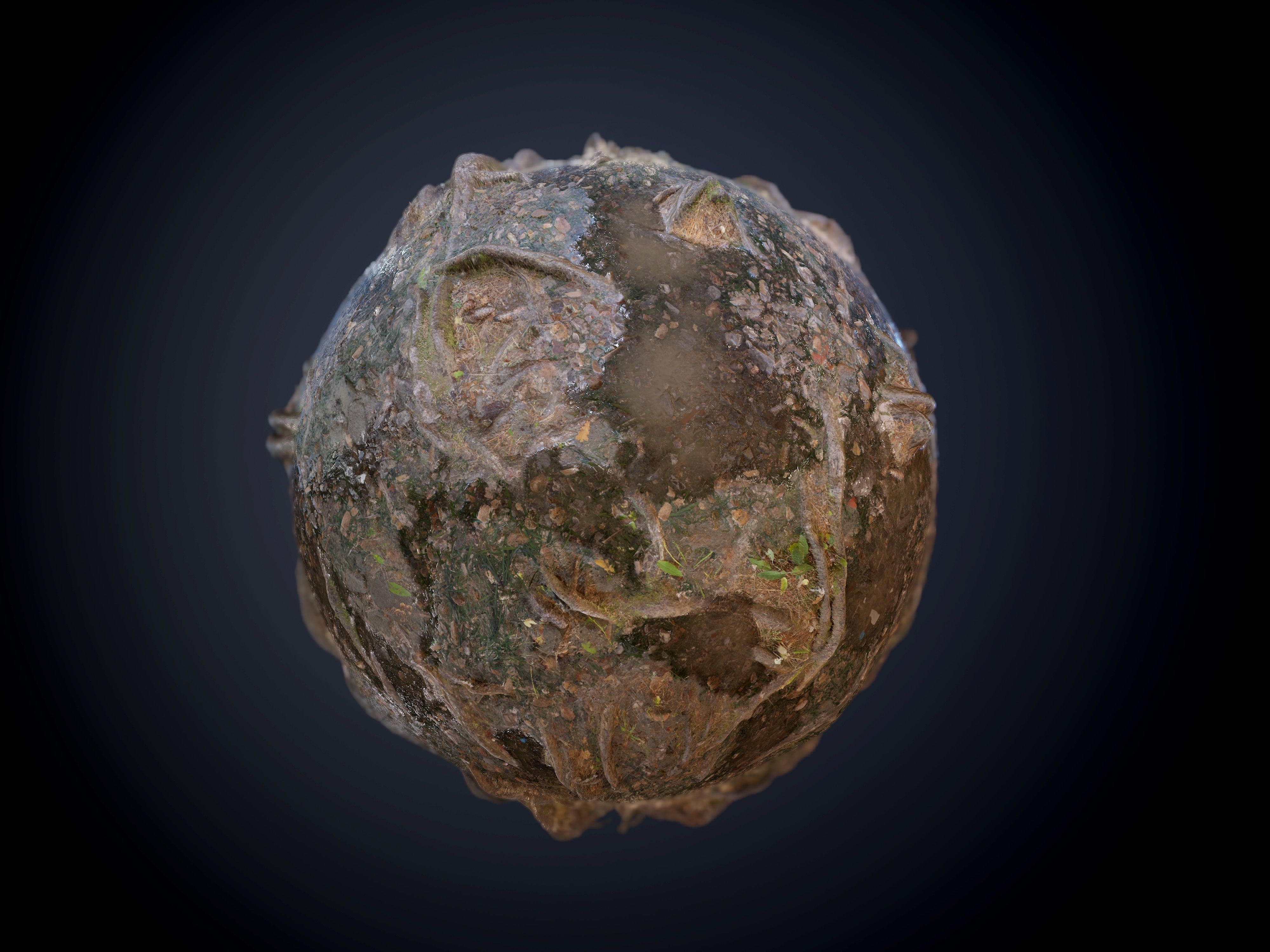 Forest Mud Ground Seamless PBR Texture Texture | CGTrader