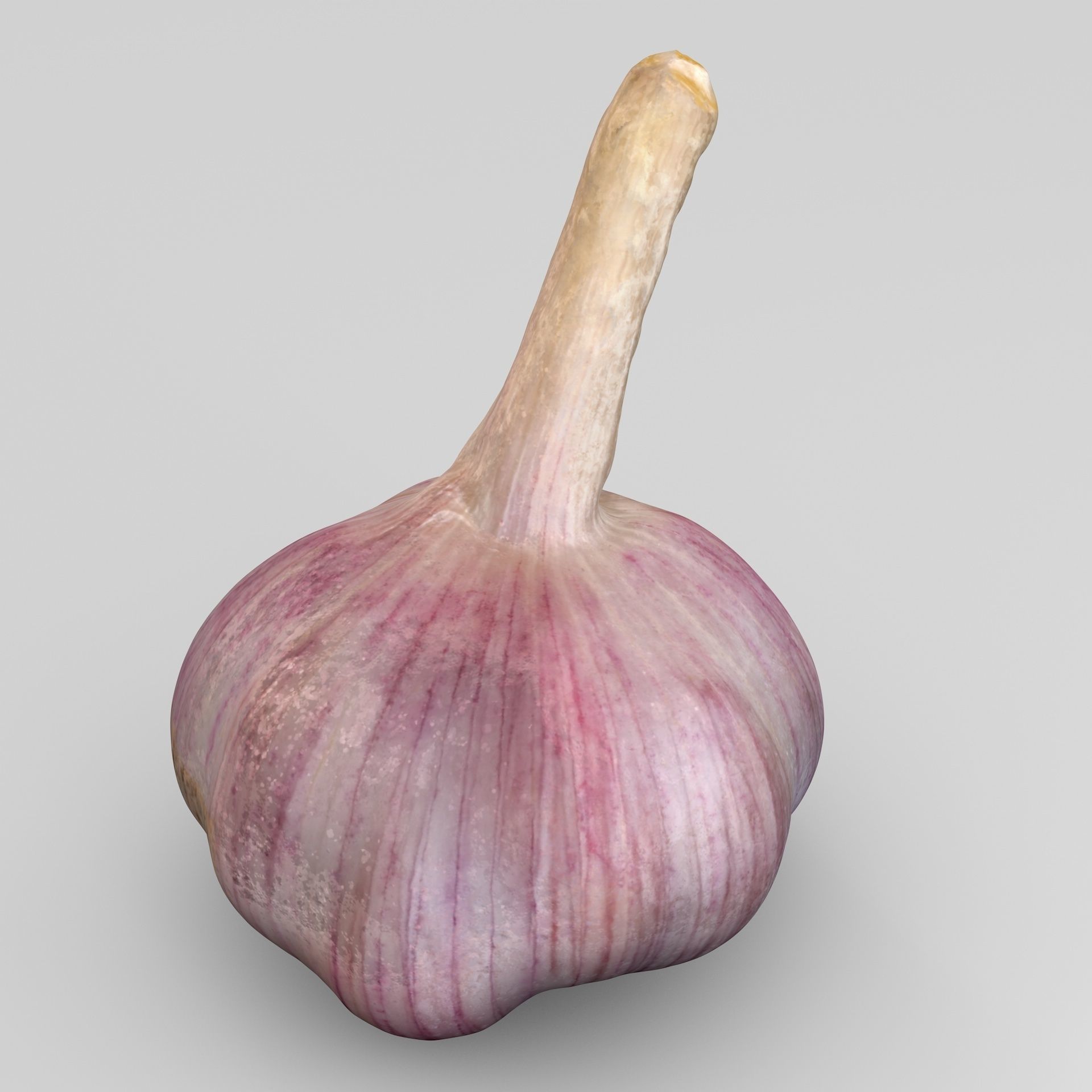 photorealistic 3D model Garlic | CGTrader