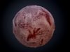Gore Blood Guts Skin Cuts Seamless PBR Texture 12 Texture | CGTrader