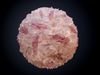 Gore Blood Guts Skin Cuts Seamless PBR Texture 26 Texture | CGTrader