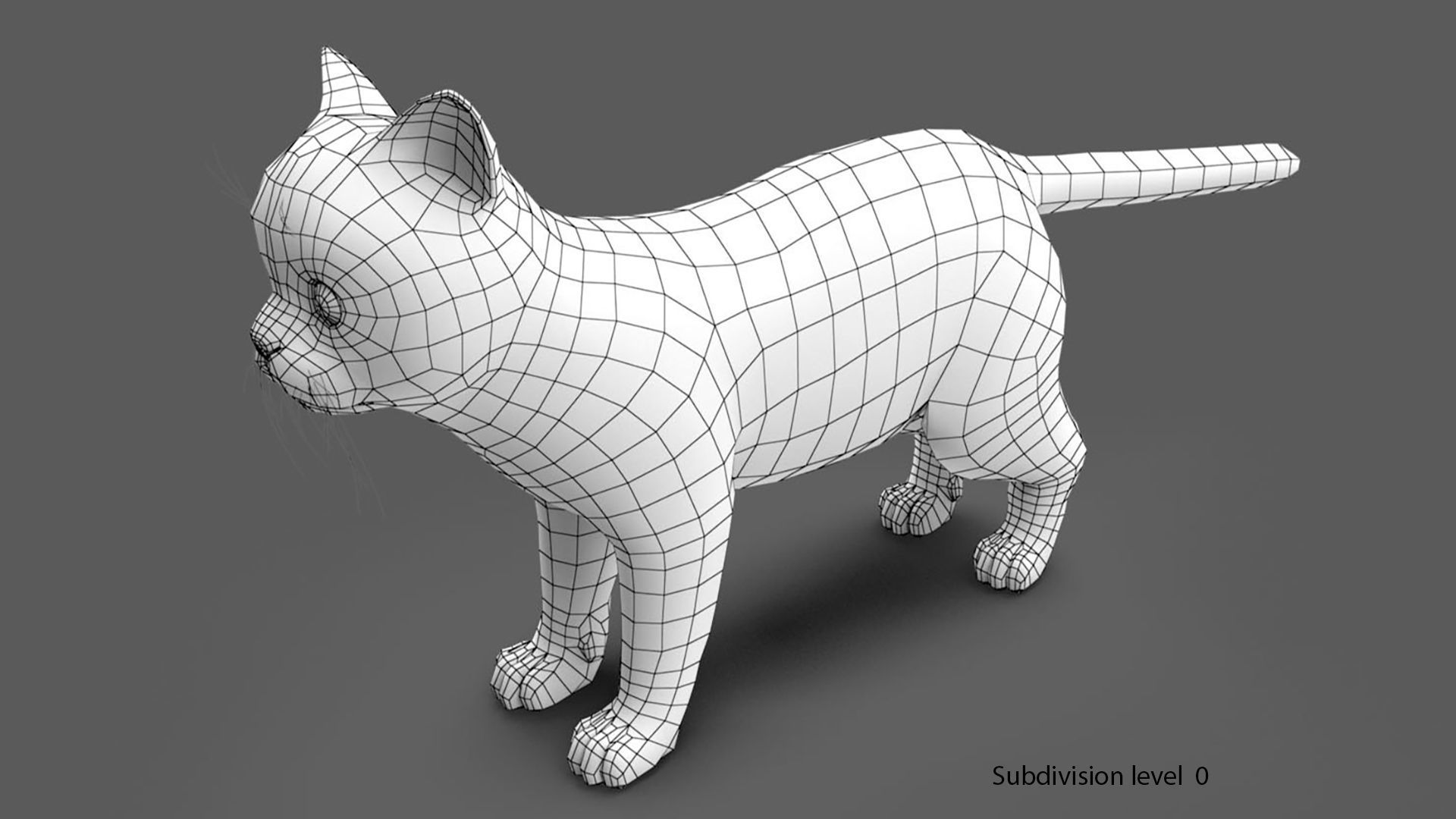 Cat Fur Rig 3D model rigged | CGTrader