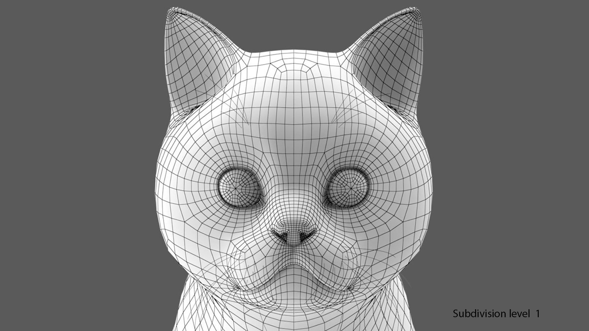 Cat Fur Rig 3D model rigged | CGTrader