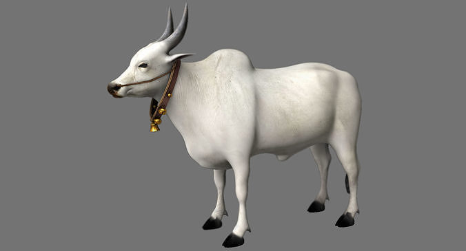 bull 3d model 3D model | CGTrader