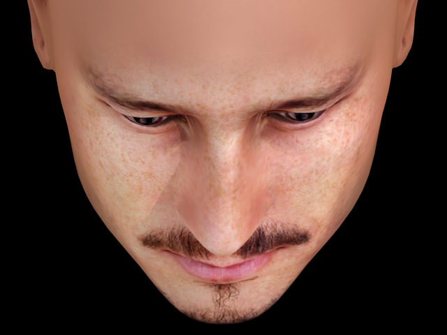 Heath Ledger 3D model | CGTrader