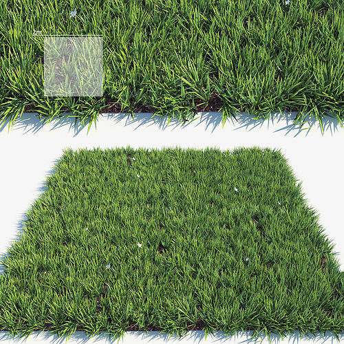 Grass 3 texture 3D model | CGTrader