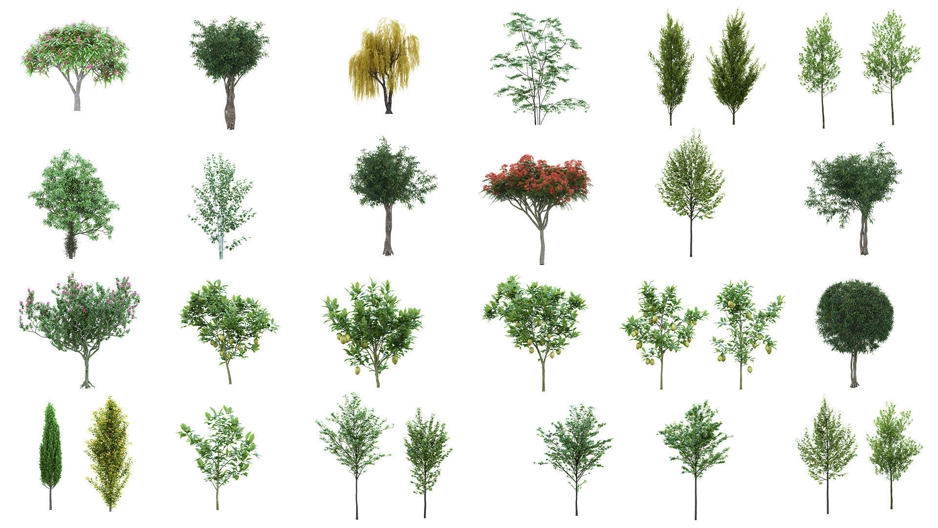 60 Cutout Trees Collection Texture | CGTrader