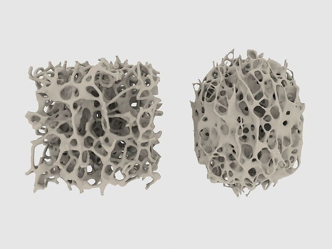 bone structure 3D model | CGTrader